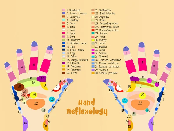 Reflexology hand chart — Stock Photo © adrenalina #64691481