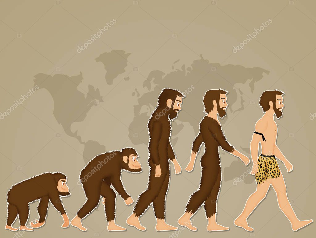 Evolución Humana