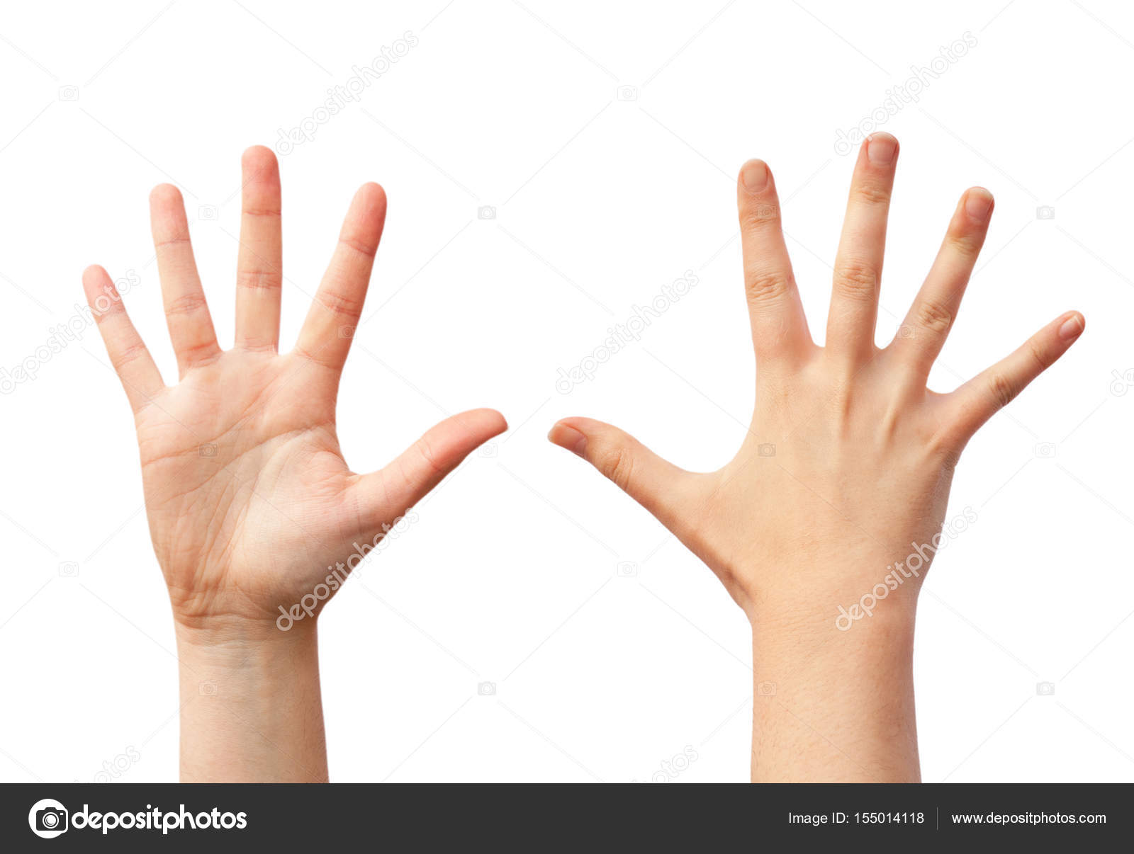 Two human hands — Stock Photo © Arcady #155014118