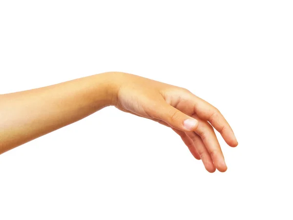 Two female hands. — Stock Photo © kladyk #58381145