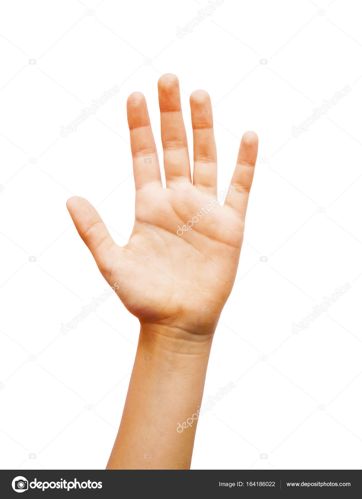 Voting human hand isolated on white background — Stock Photo © Arcady ...