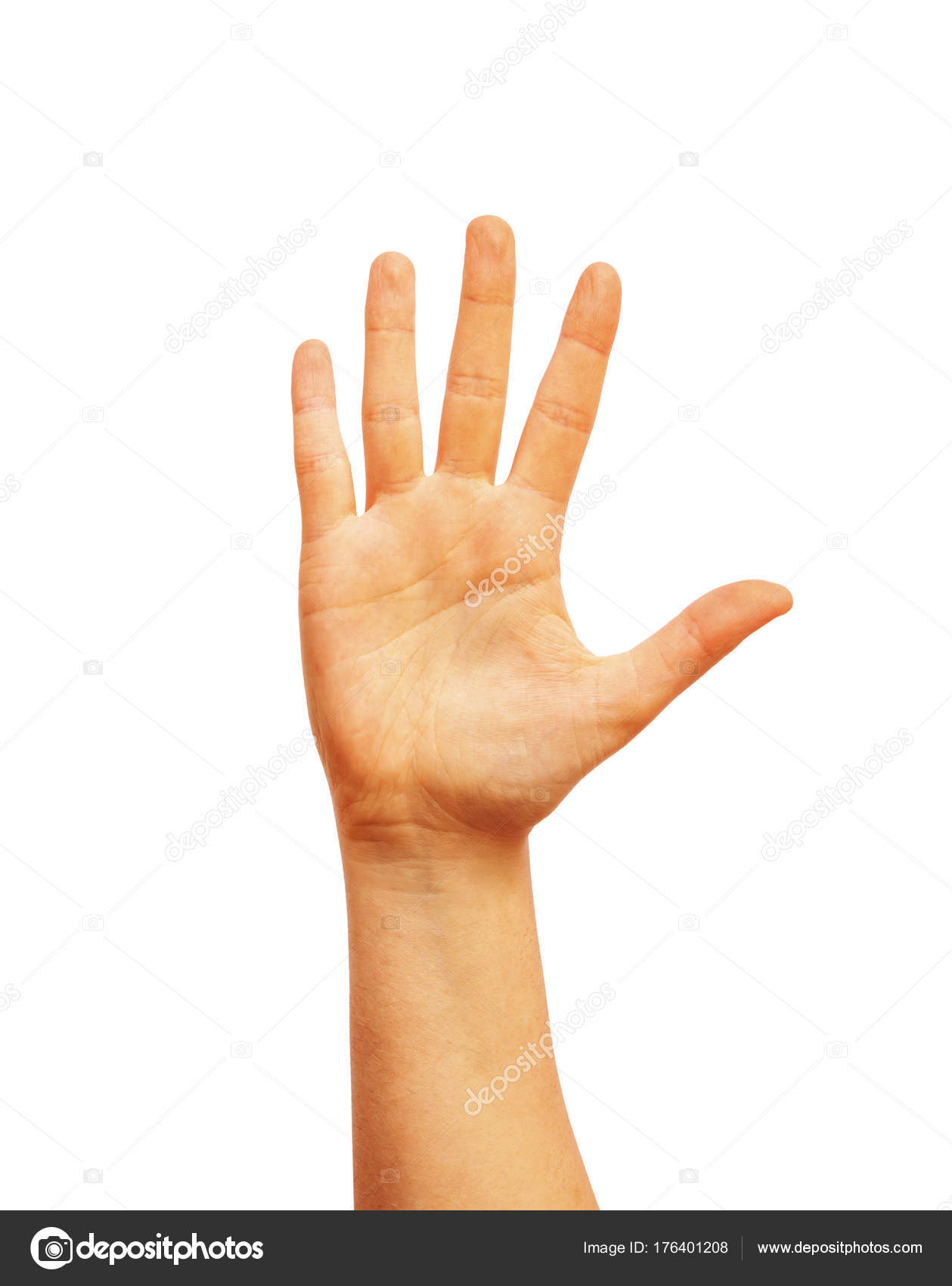 Human raised hand isolated on white background Stock Photo by ©Arcady ...