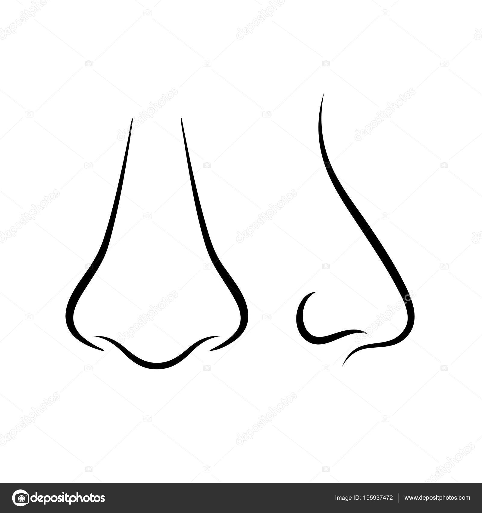 Human Nose Front View