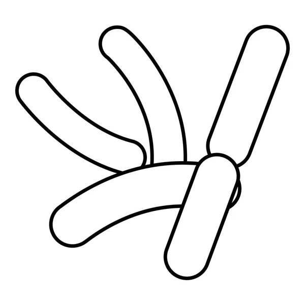 Microorganism Vector Art Stock Images | Depositphotos