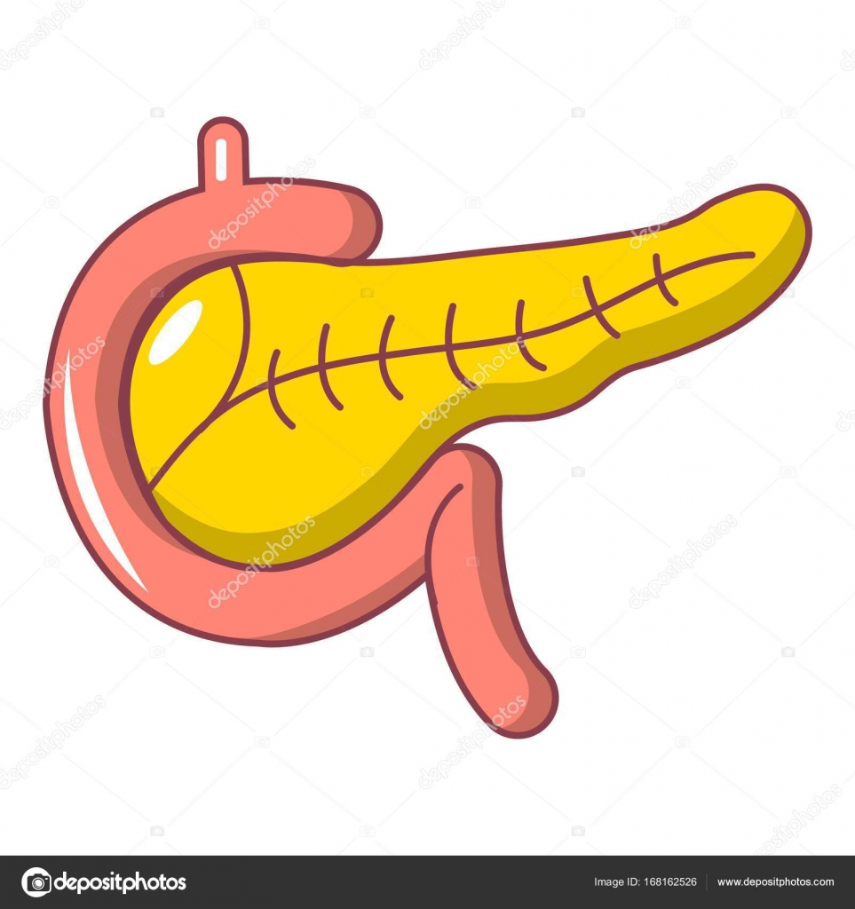 Icono del páncreas, estilo de dibujos animados Vector de stock ...