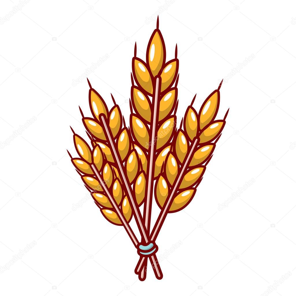 Qu Es El Germen De Trigo Y Para Qu Sirve