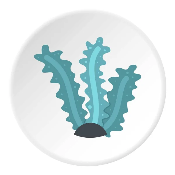 Porifera Vector Art Stock Images | Depositphotos