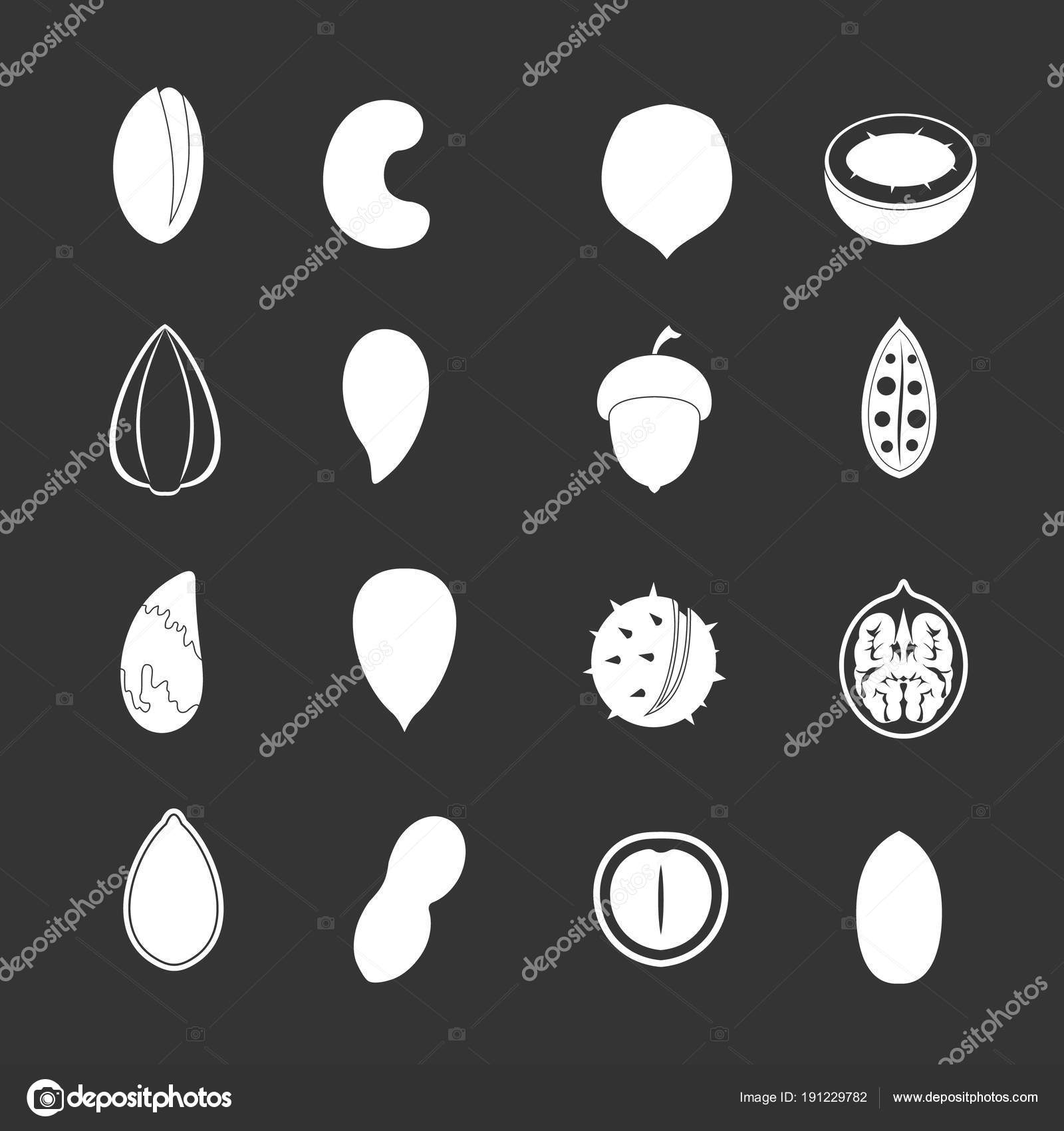 Nueces iconos conjunto vector gris Vector de stock por ©ylivdesign ...