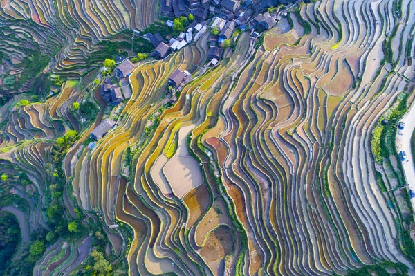 Aerial view of cherry trees and tea fields in longyan china images ...