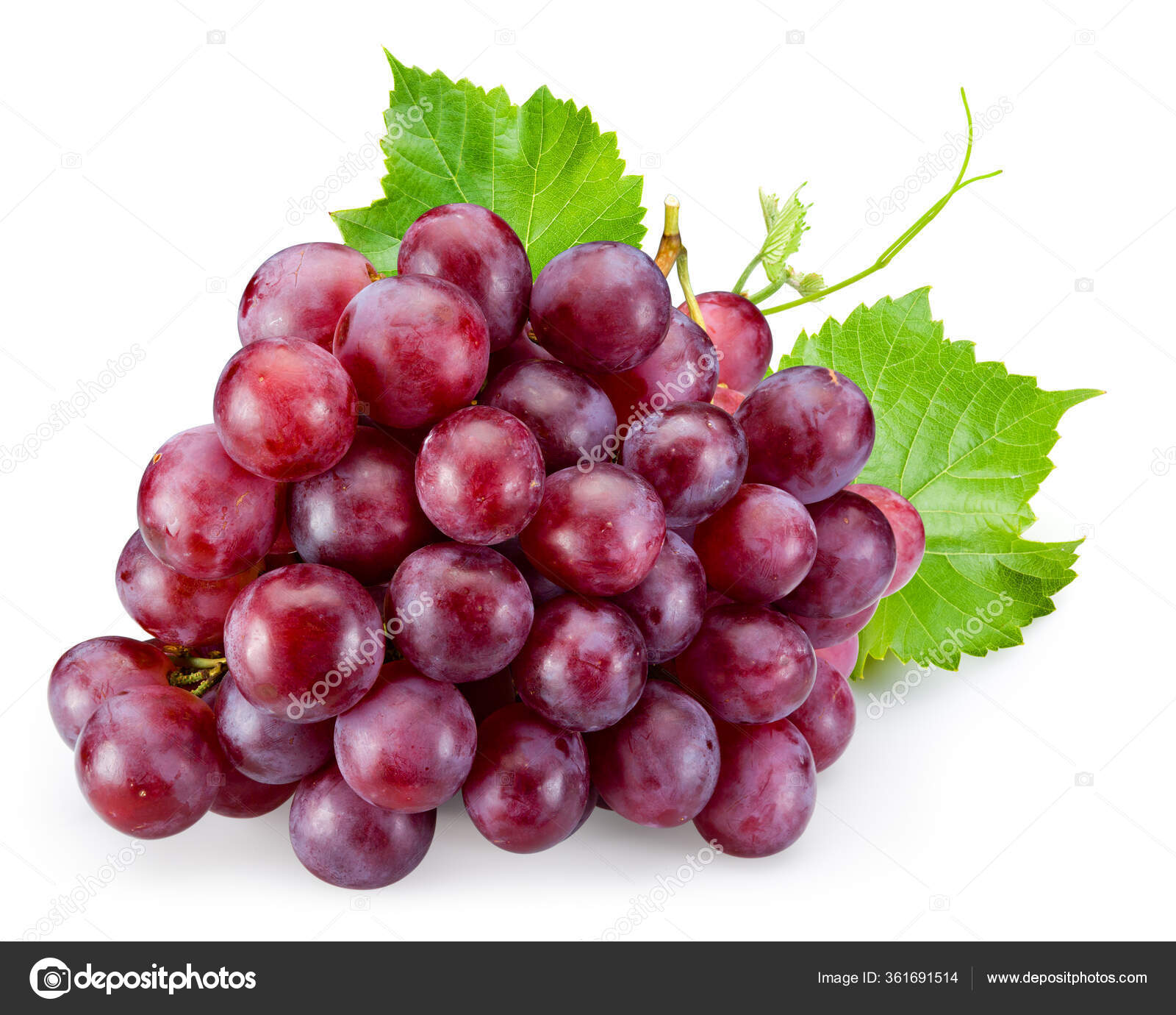 Ripe Red Grape Leaves Isolated White Stock Photo by ©utima 361691514