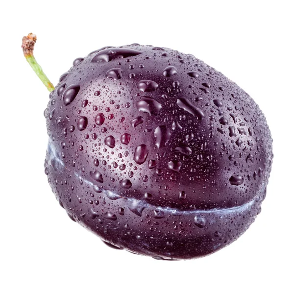 Stockfoto's van Natte pruim, rechtenvrije afbeeldingen van Natte pruim ...