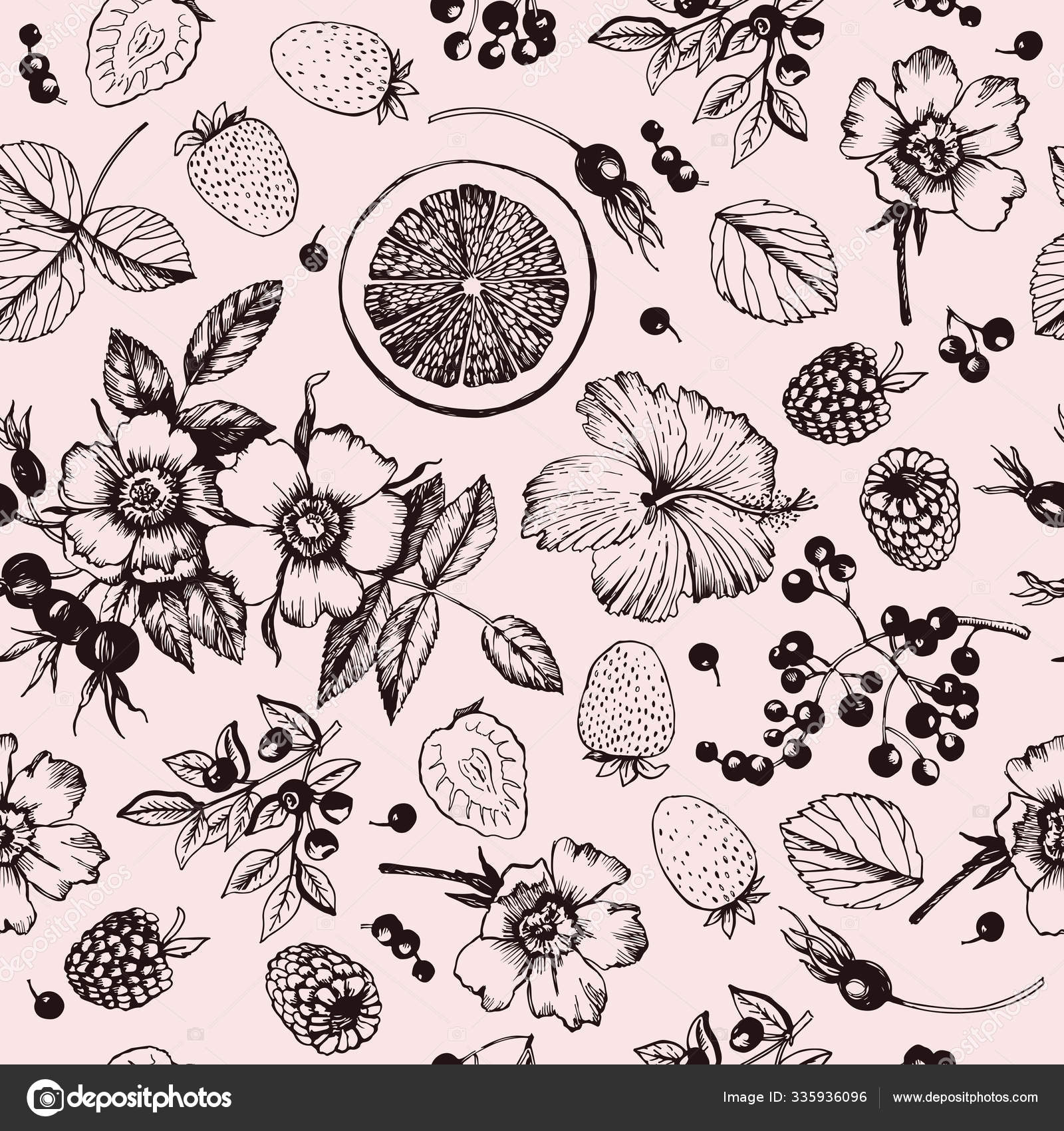 Graphic Illustration Plants Fruit Tea Stock Vector Image by ©Ann_art ...