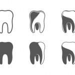 Vector teeth Stock Vector Image by ©beaubelle #3604789