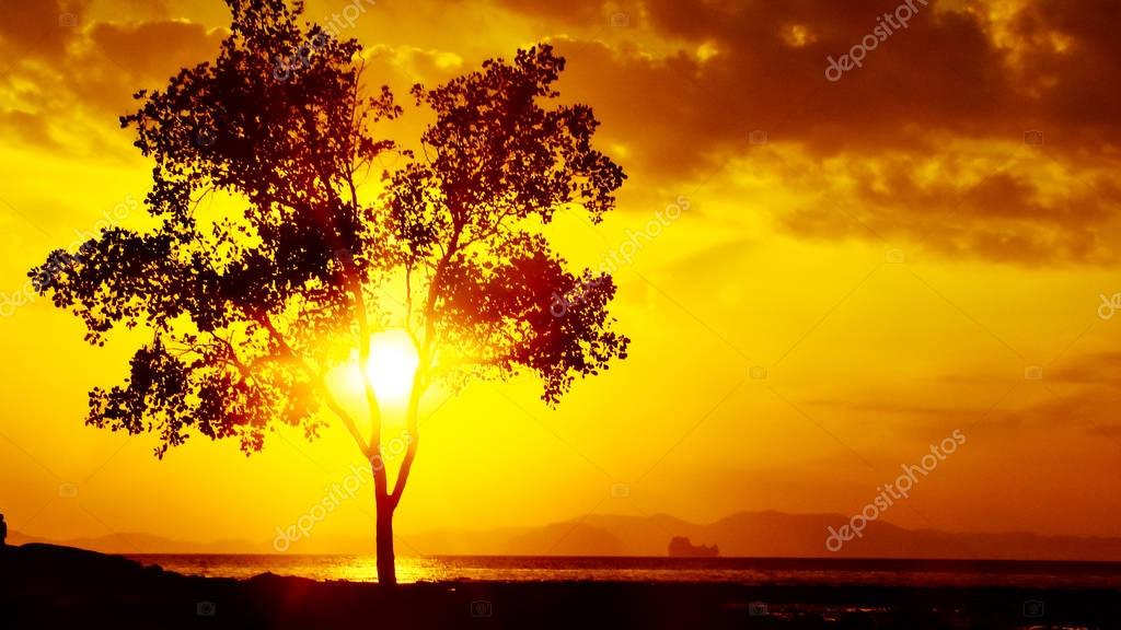 Foto: amaneceres | Los más bellos atardeceres y amaneceres — Foto de ...