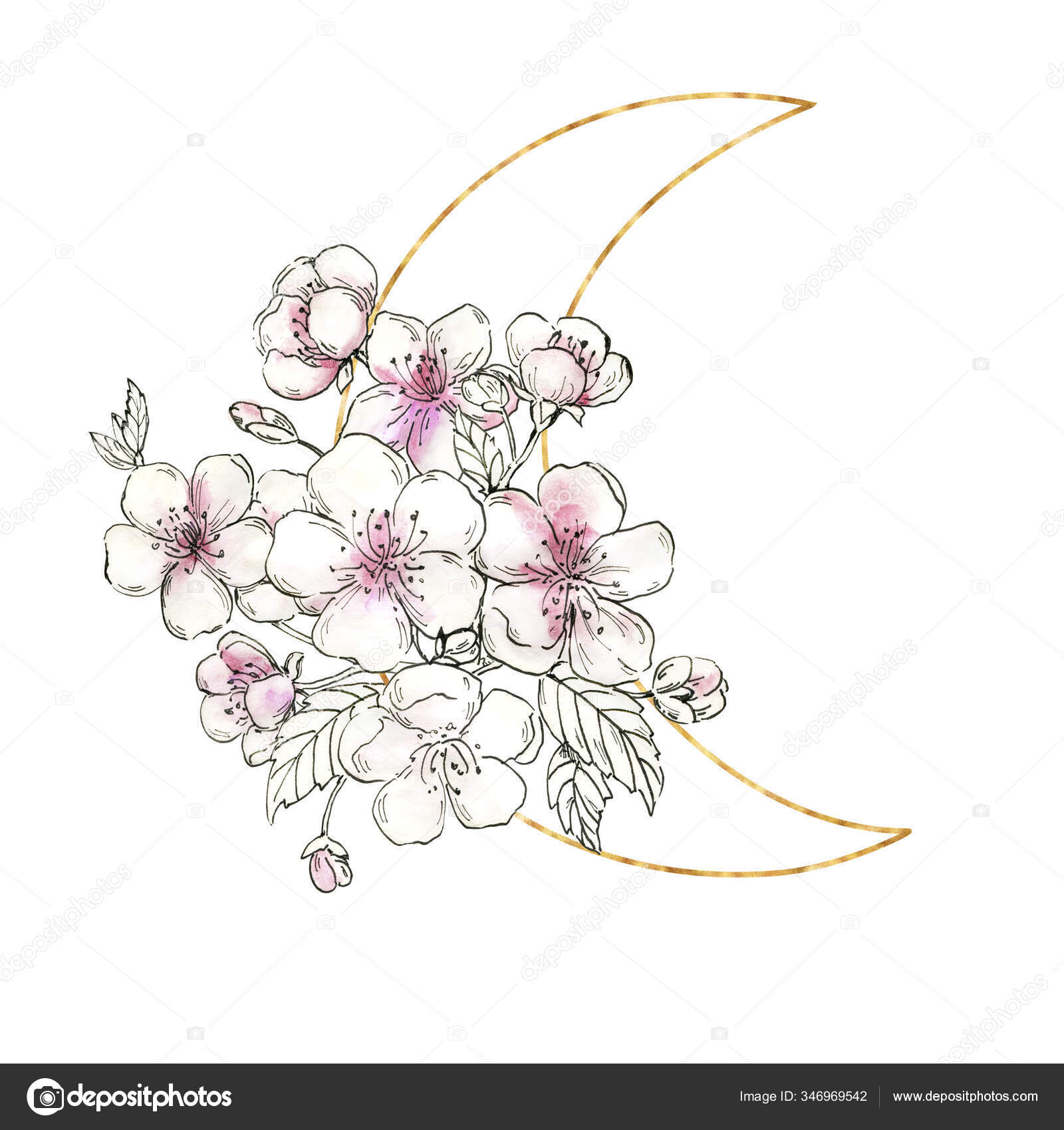 Watercolor Line Drawing Flowers | Best Flower Site