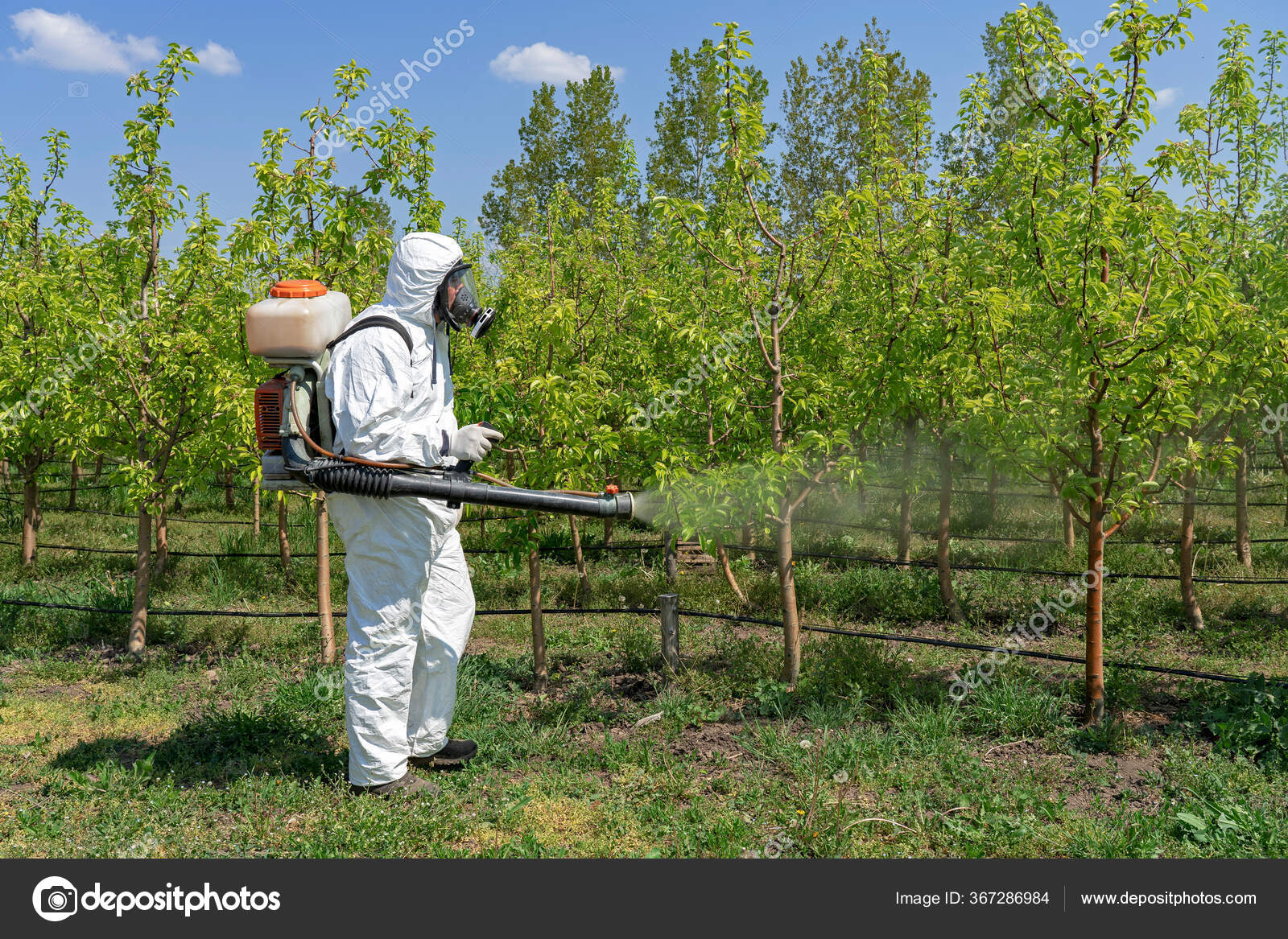 Pesticides Spraying Equipments