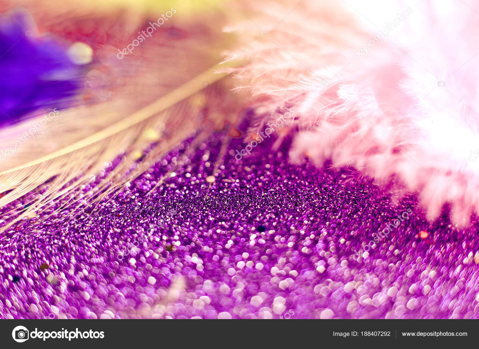 Glitter Feather Photography