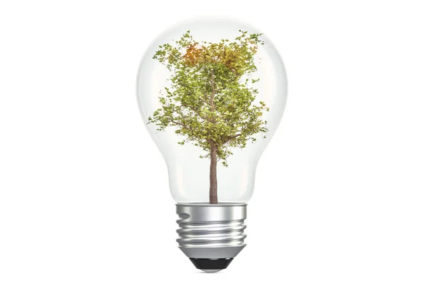 Tree in a light bulb Stock Photo by ©aspect3d 2403960
