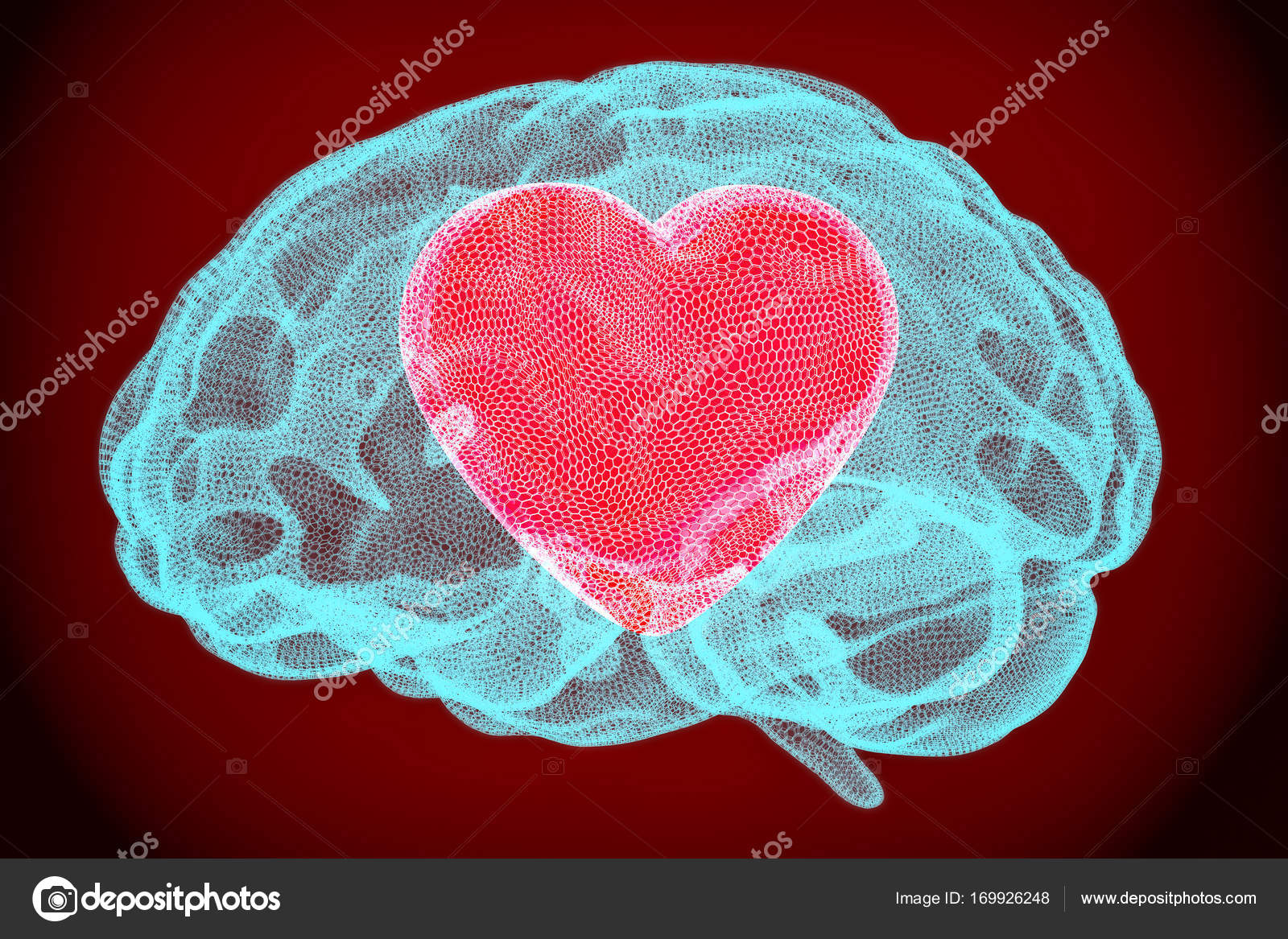 Heart inside brain, smart love concept. 3D rendering — Stock Photo ...