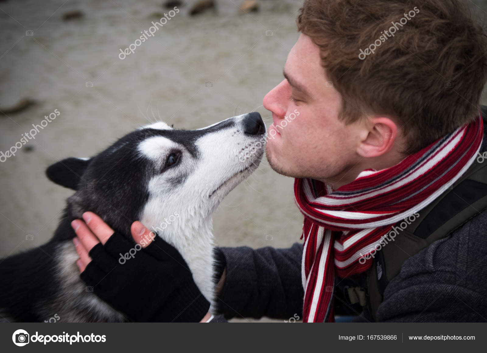 Man Dog Sniffing Each Other — Stock Photo © LegasC #167539866