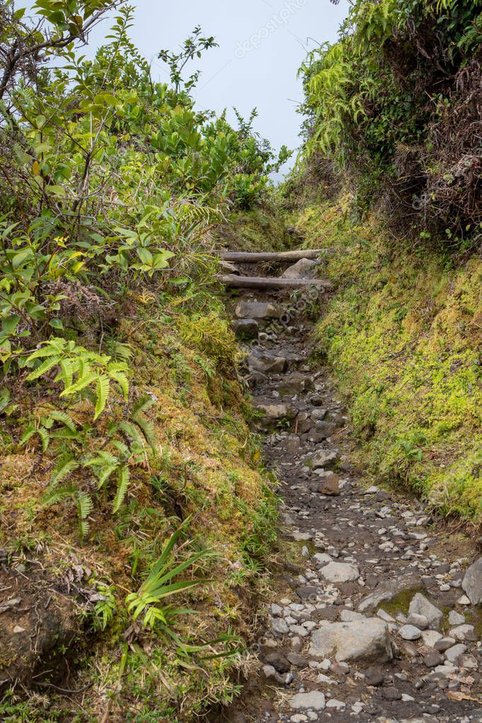 Sendero a un volcán activo La Soufriere, Guadalupe, Caribe 2022