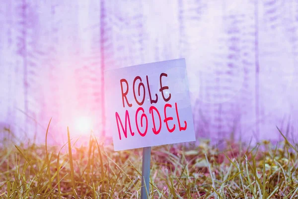 Text sign showing Role Model. Business photo showcasing a demonstrating ...