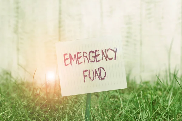 Text sign showing Emergency Fund. Conceptual photo Money which is set ...