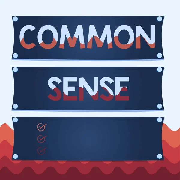 Conceptual hand writing showing Common Sense. Business photo text ...