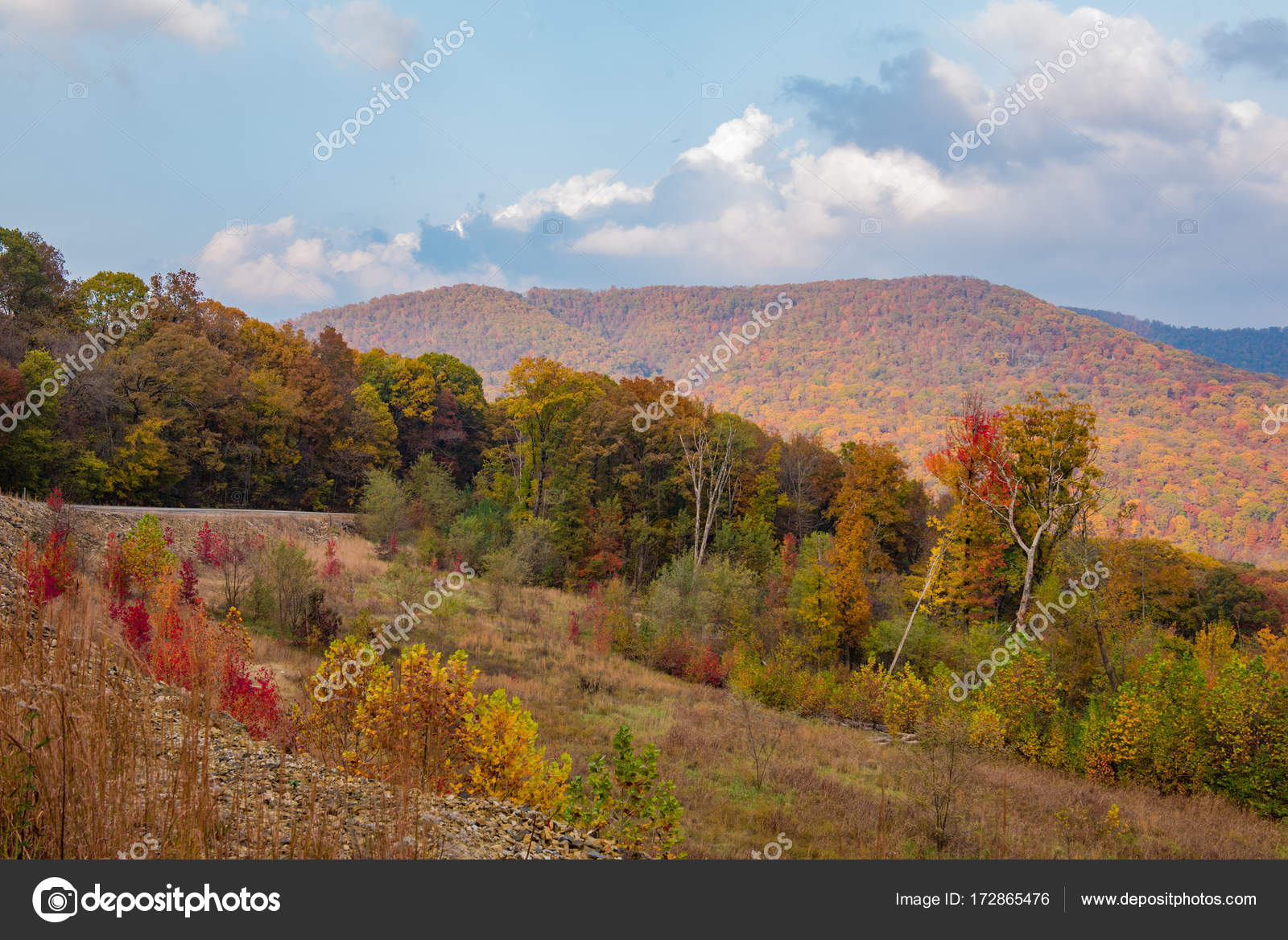Fall Colors in the Ozark National Forest Stock Photo by ©daltonaiken ...