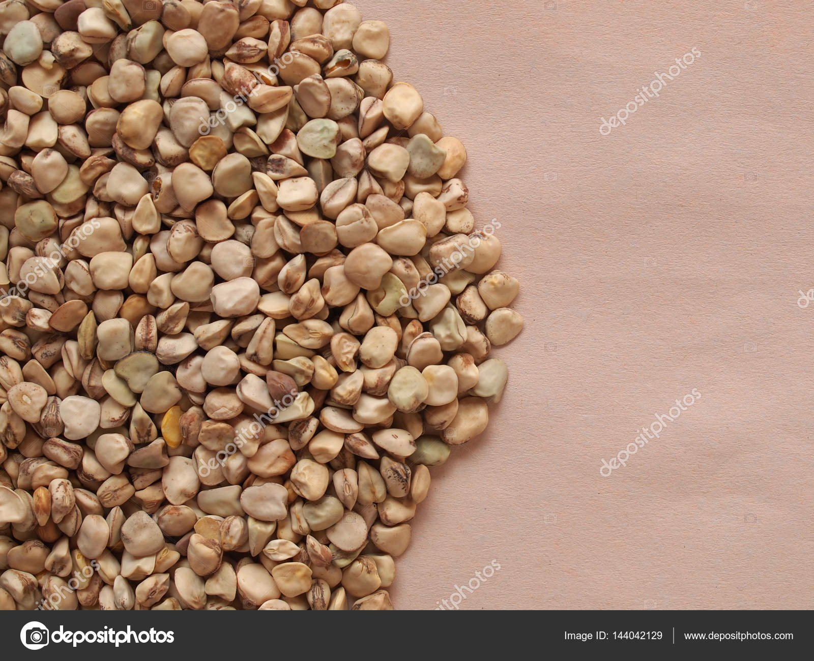 Grass Pea Lathyrus Sativus Aka Sweet Pea Chickling Pea Indian Stock ...