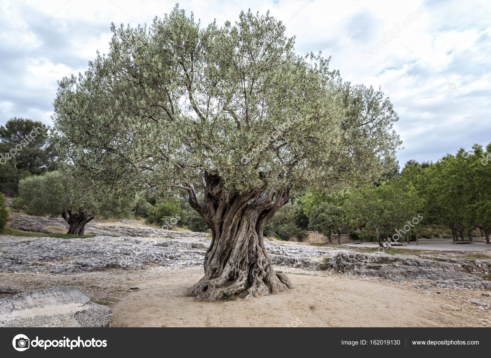 I love the new European pack, but there is something wrong with the ...