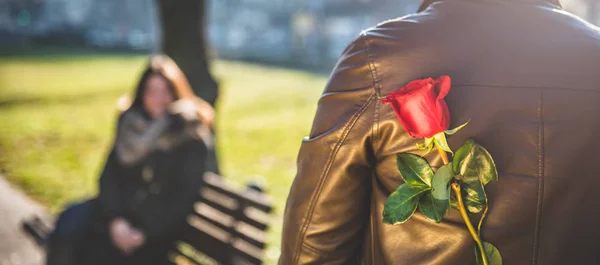 Man holding a red rose behind back, woman siting on the park bench in ...