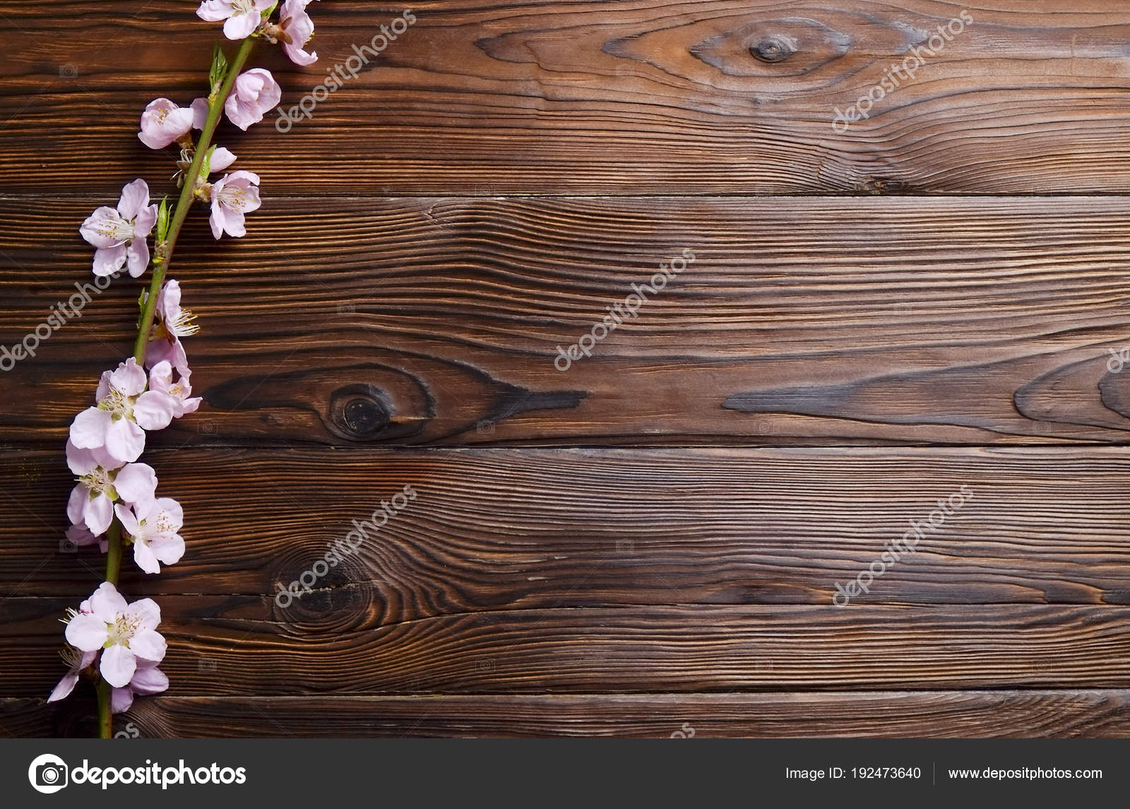 Beautiful spring composition with flowering blossoms on wooden ...
