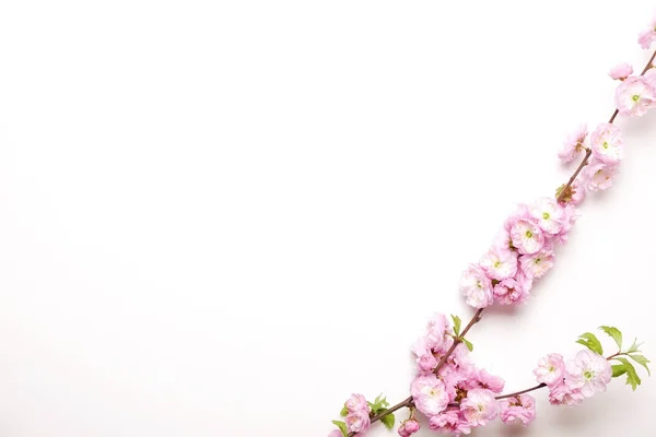 Beautiful spring composition with flowering blossoms on wooden ...