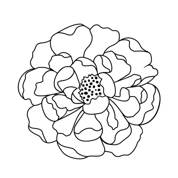 Cempasuchil Flower Drawing | Best Flower Site