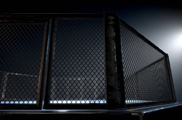 Mma cage Stock Photos, Royalty Free Mma cage Images | Depositphotos