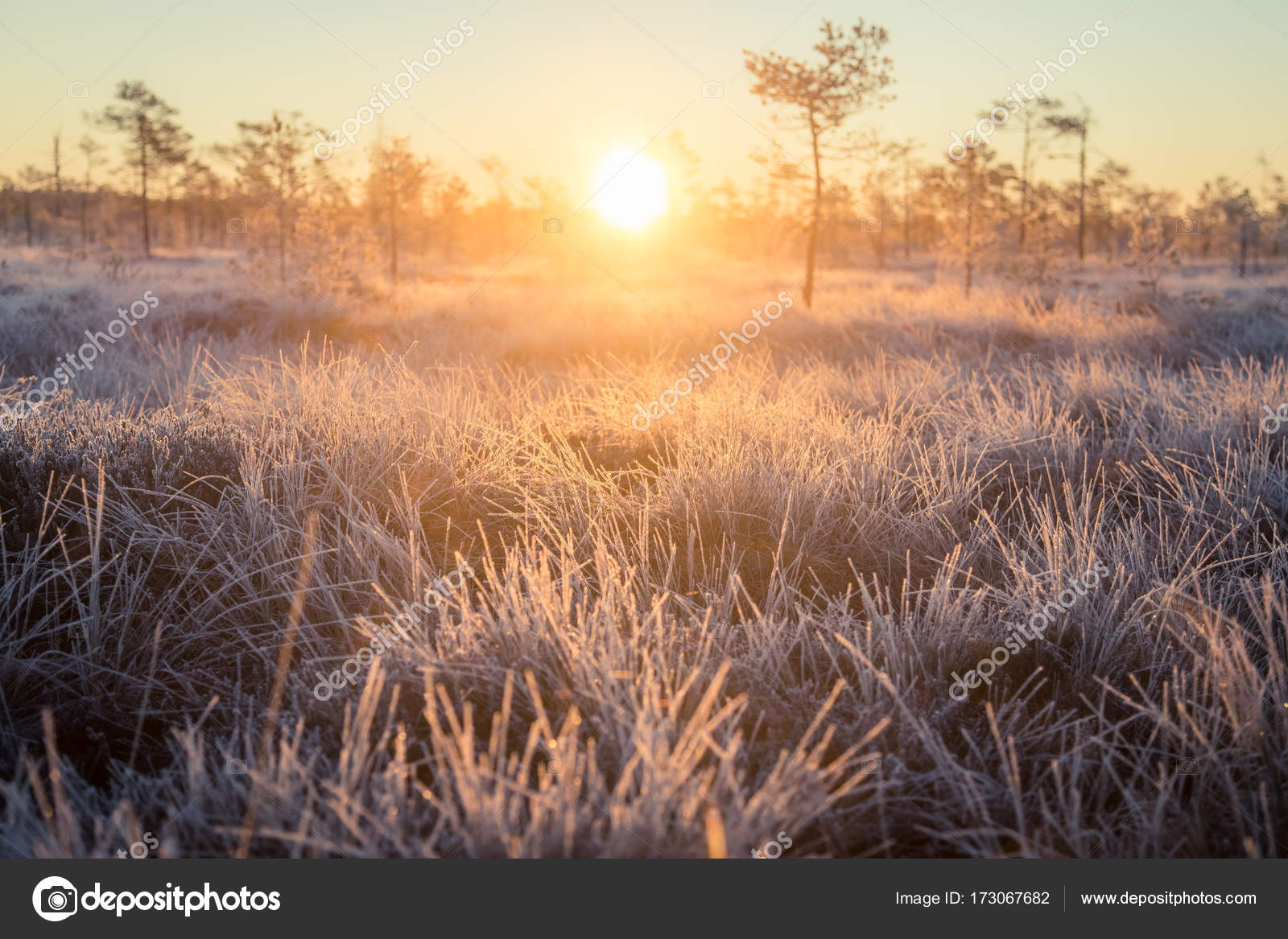Rising Sun On Nature