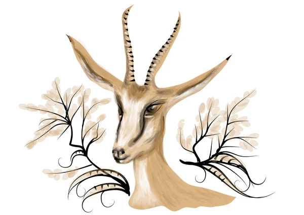 Springbok head Stock Vectors, Royalty Free Springbok head Illustrations ...