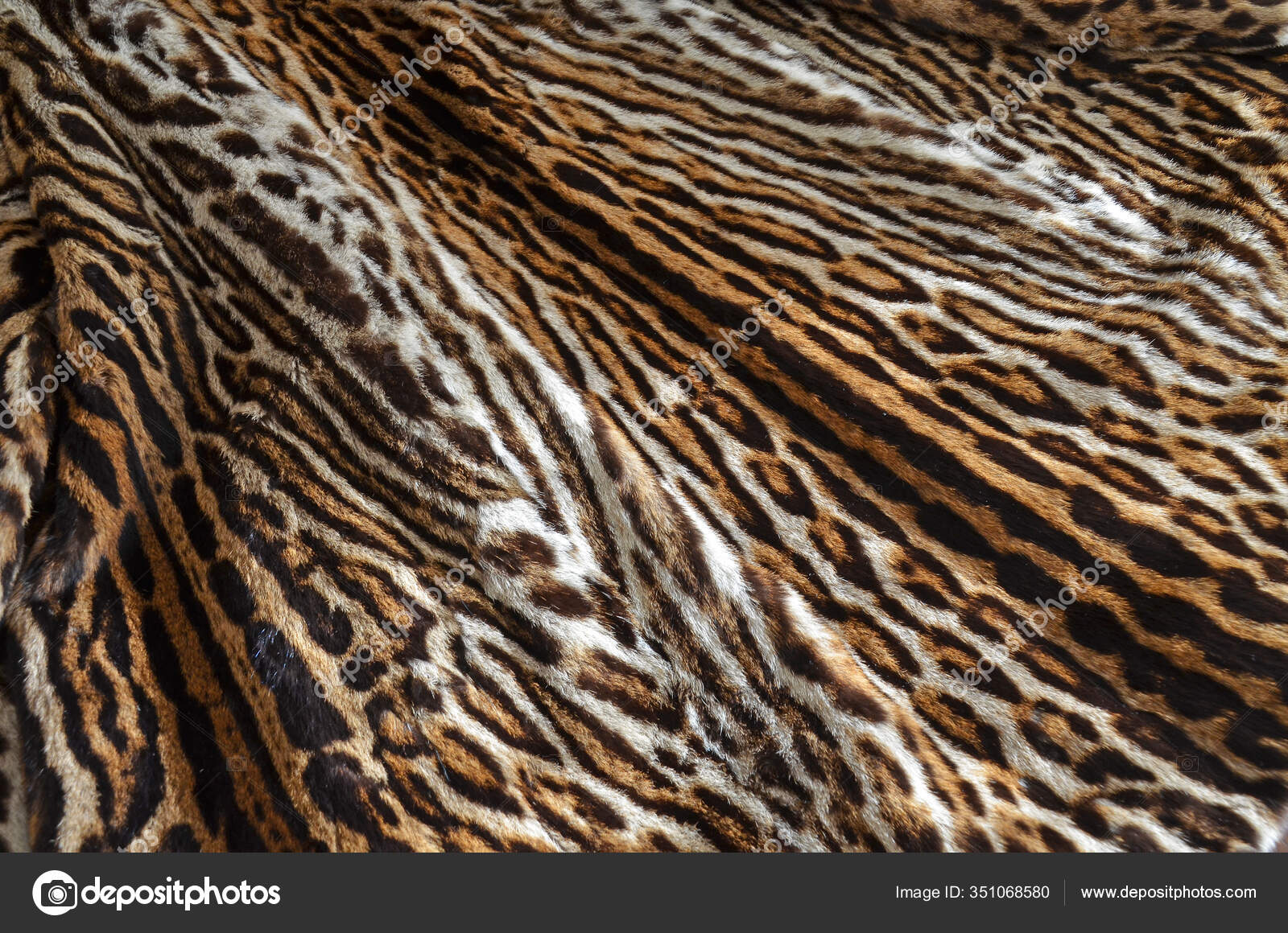 Beautiful Ocelot Fur Coat Background Texture Stock Photo by ©nico99 ...