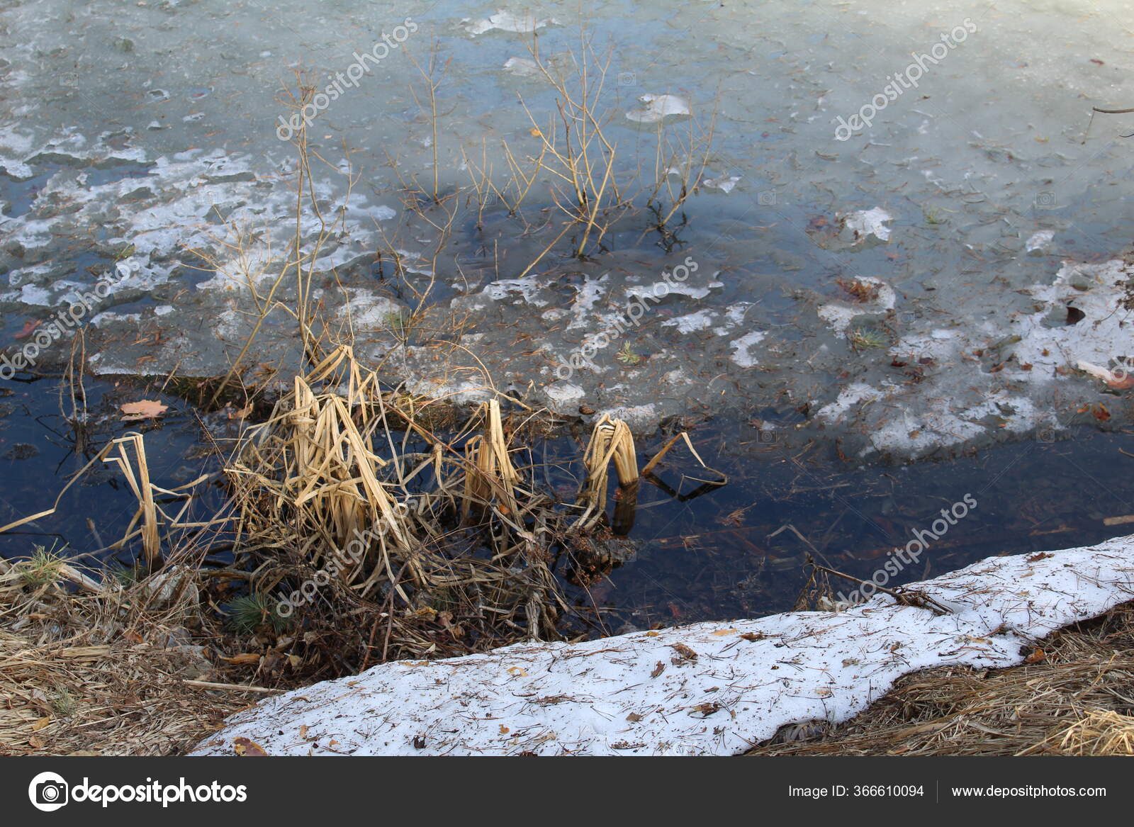 Reservoir Ice Water Forest Early Spring Photo Ice Melts Reservoir ...