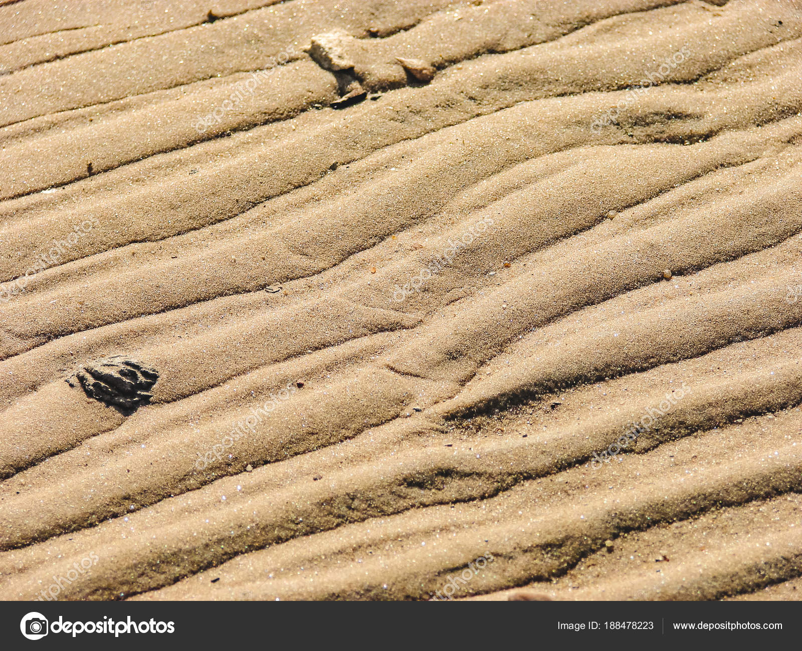 Texture Sand Beach Sea — Stock Photo © btxstudio #188478223