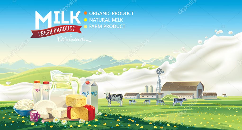 Label design for dairy products — Stock Vector © crop_ #125274730