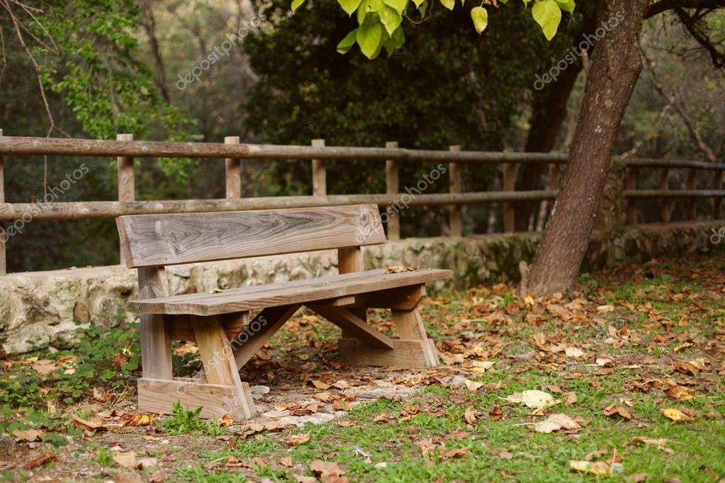 Lone bench in park — Stock Photo © Gelpi #129236934