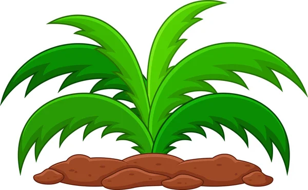 Palmera Sobre Fondo Blanco Vector de stock por ©mahfud_syarifudin21 ...