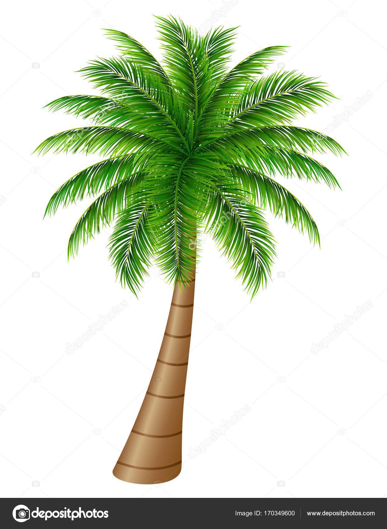 Palmera Sobre Fondo Blanco Vector de stock por ©mahfud_syarifudin21 ...