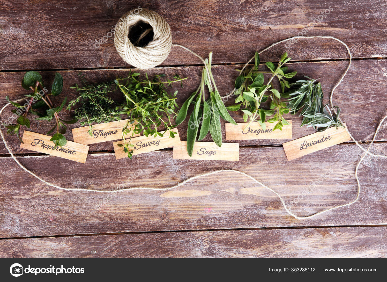 Hierbas Caseras Aromáticas Sobre Fondo Rústico Conjunto Hierbas Culinarias Salvia — Foto de ...