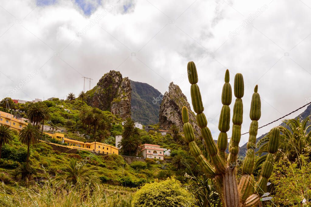 Roques de Pedro y Petra detrás de un hermoso cactus visto desde el valle de La Hermigua en La ...