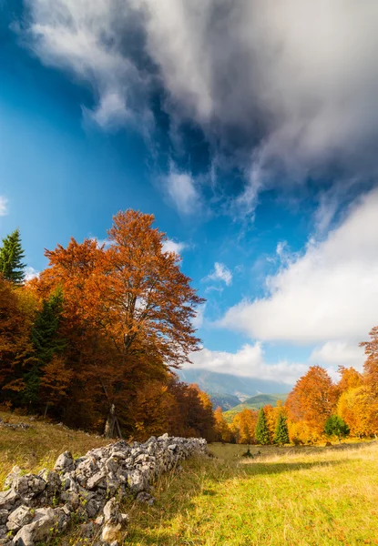 October autumn scenery in remote mountain area - Stock Image - Everypixel