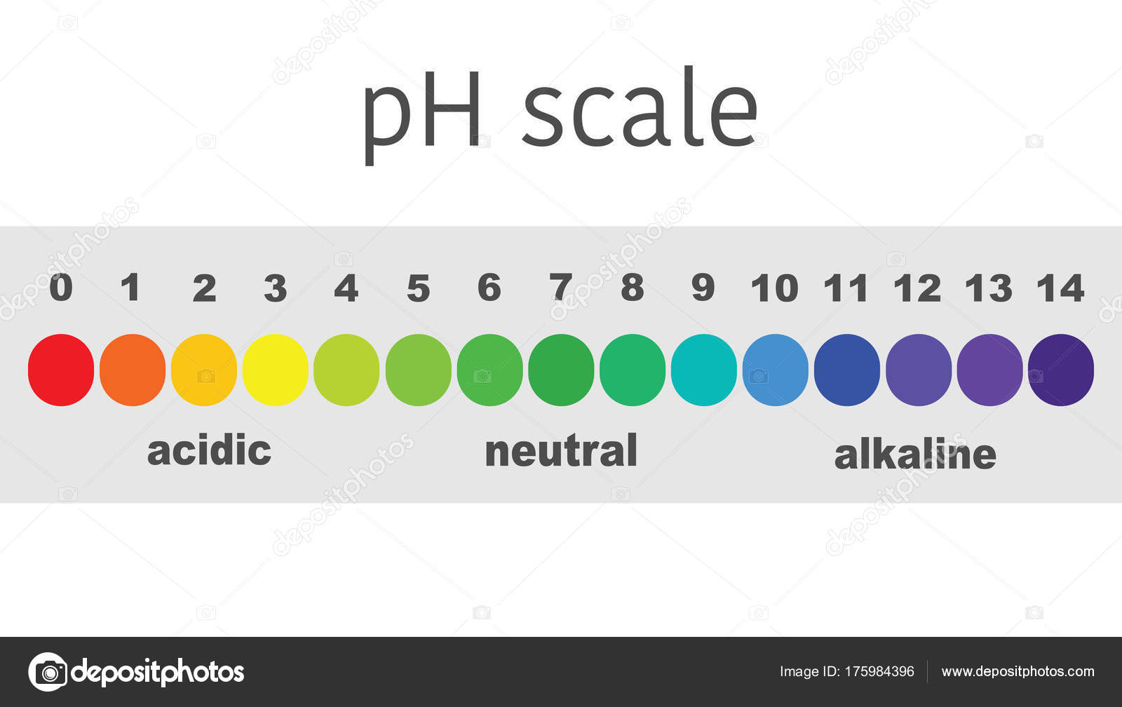 Scale of ph value for acid and alkaline solutions, infographic acid-base balance. scale for ...