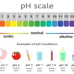 Ph Stock Photos, Royalty Free Ph Images | Depositphotos